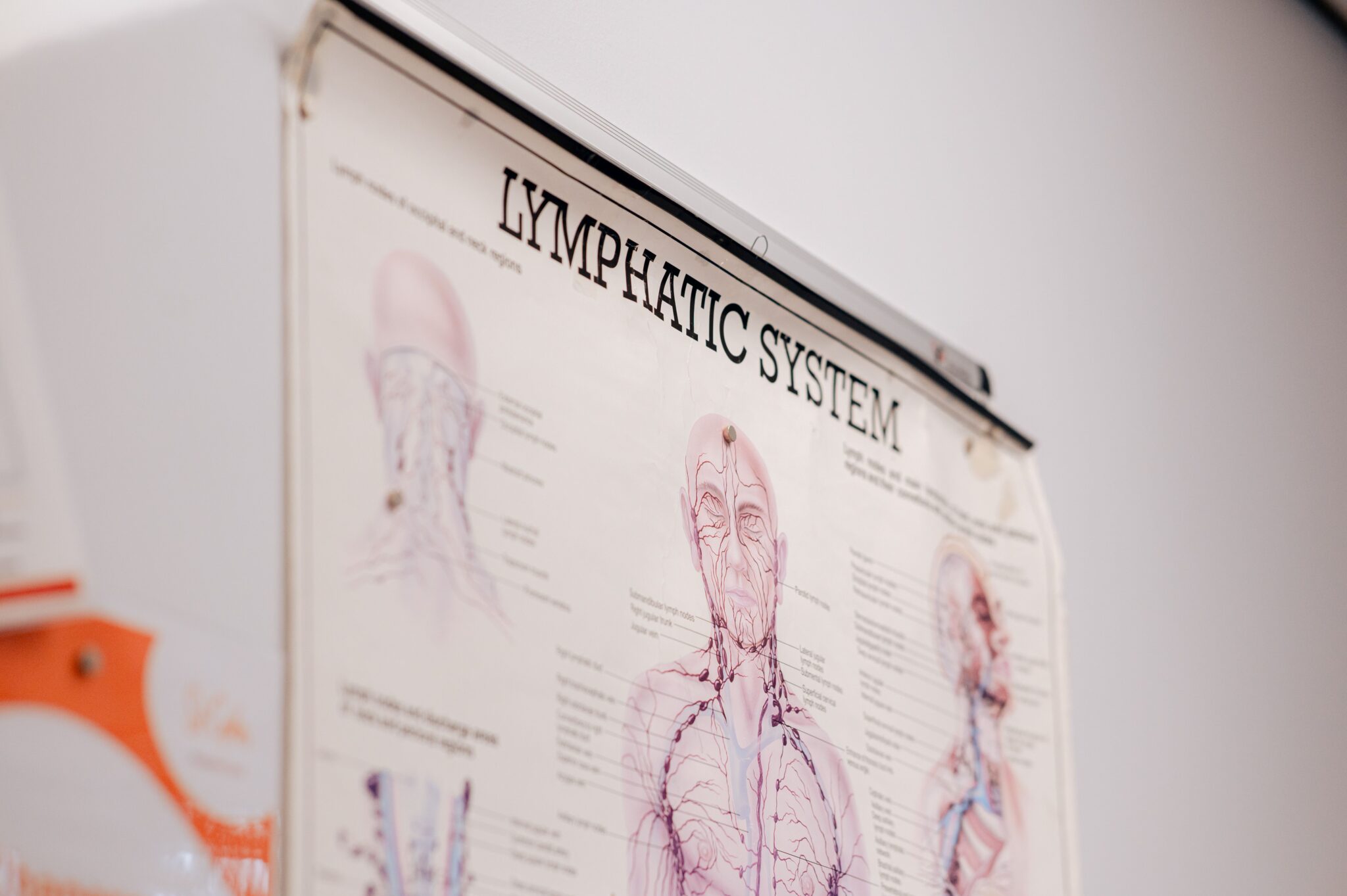 Lymphoedema clinic | St Giles Hospice